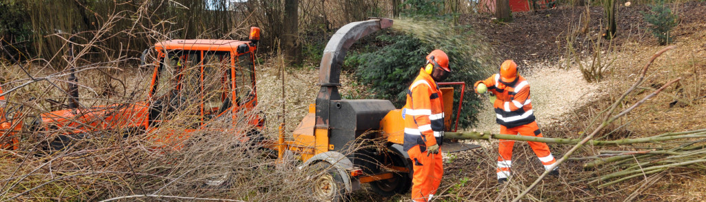 Rodungsarbeiten - Thieme Gartenbau